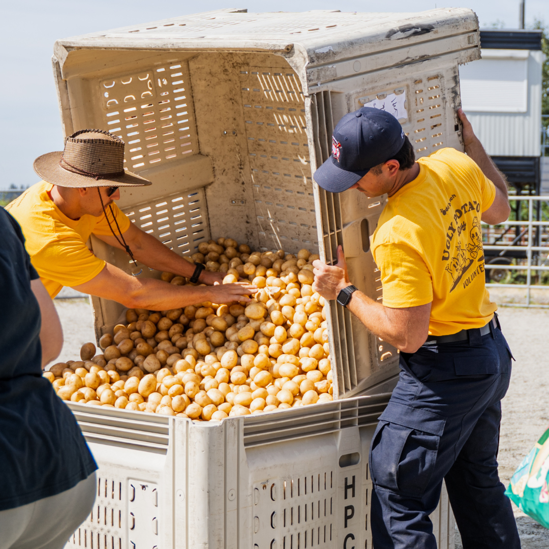 Our Biggest Giveaway Yet: Win Free Potatoes for a Year! – Ten Servings Co.