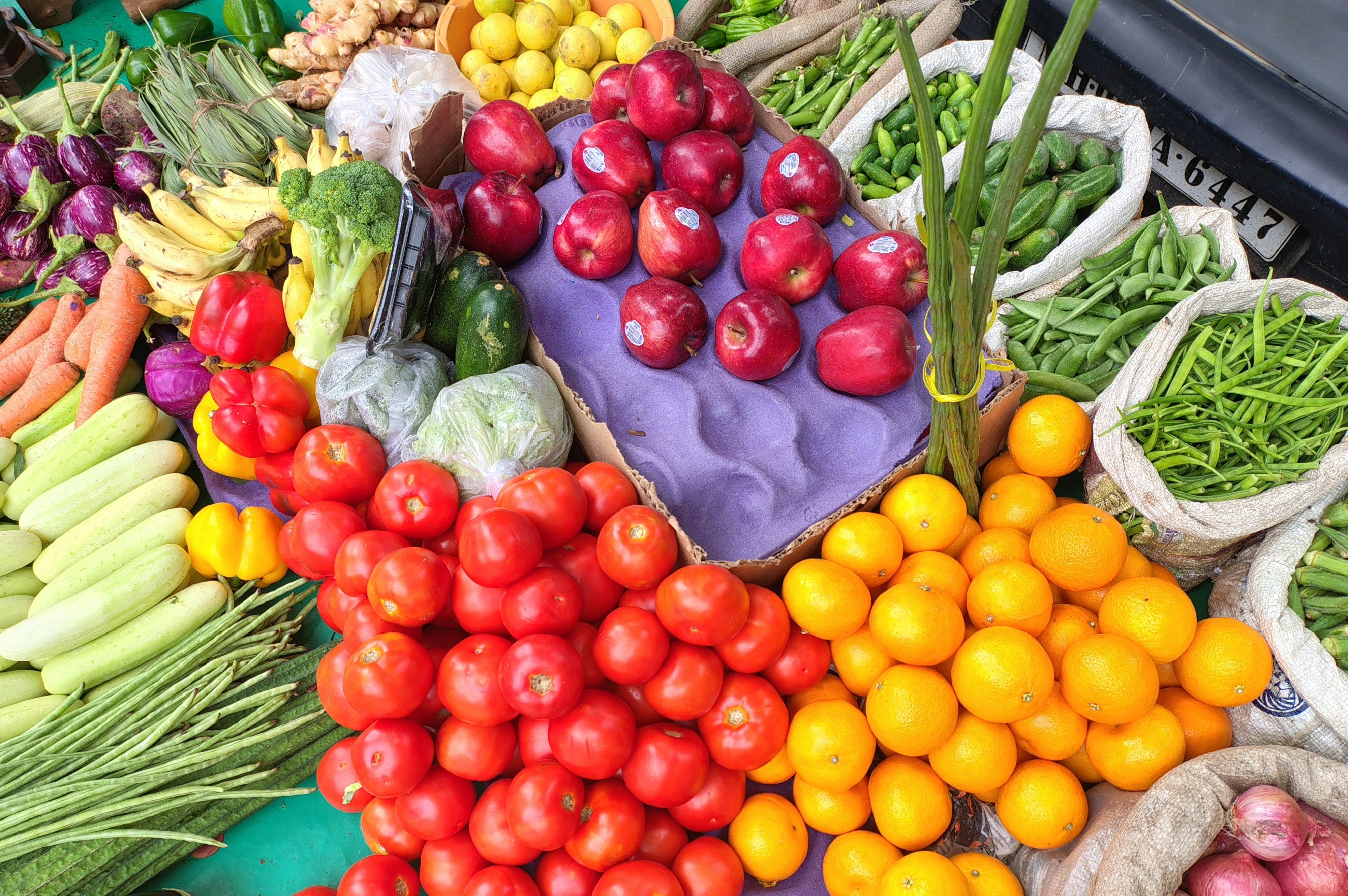 Turning Food Waste into Food Security in Canada – Ten Servings Co.