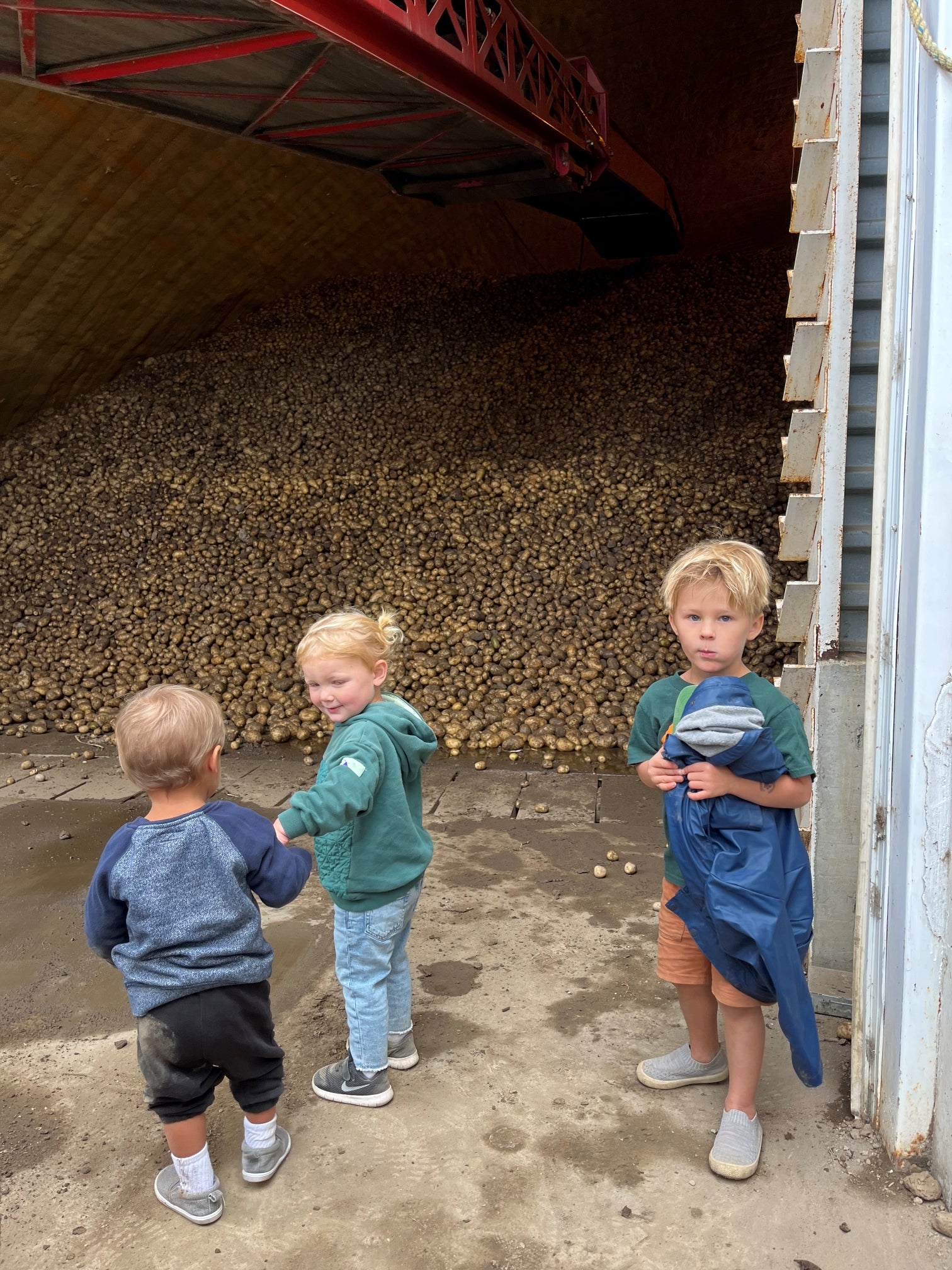 Discover Our Journey with Our Story – Ten Servings Co.